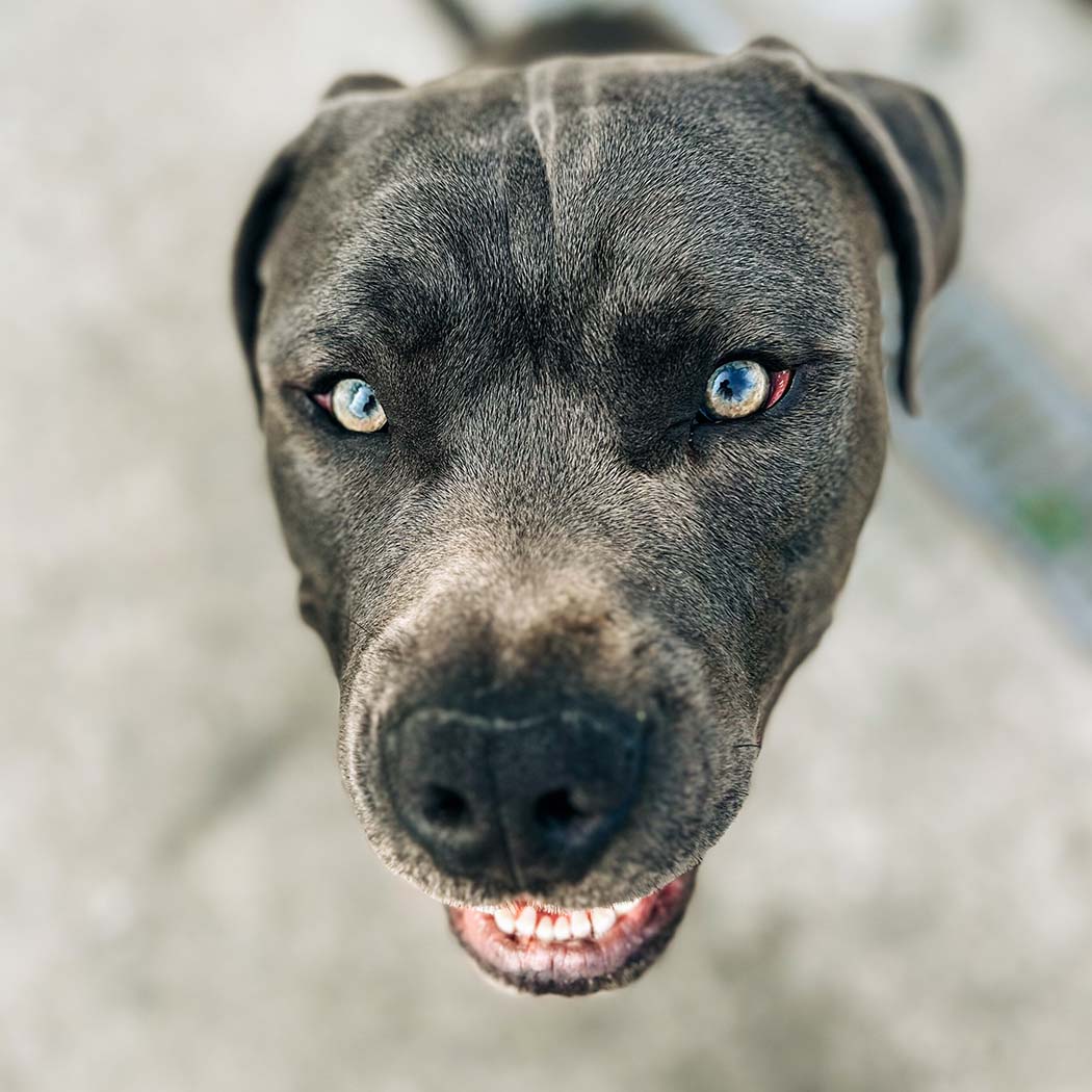 Specialties - The Hackett Law Firm - San Francisco Personal Injury ...